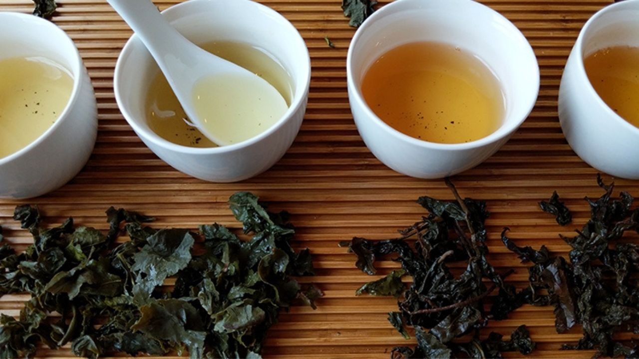 Being Tea membership: Continuing education for tea! - Being Tea